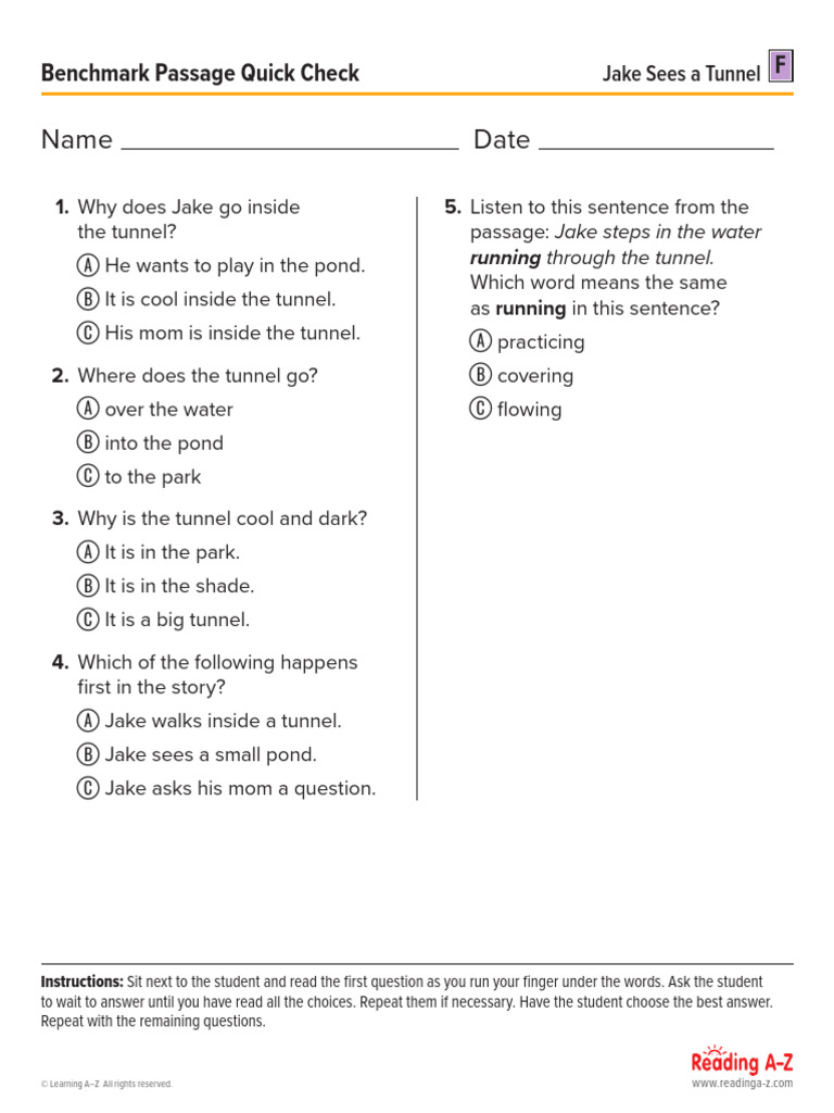 Jake Sees a Tunnel: Quick Check Guide | PDF