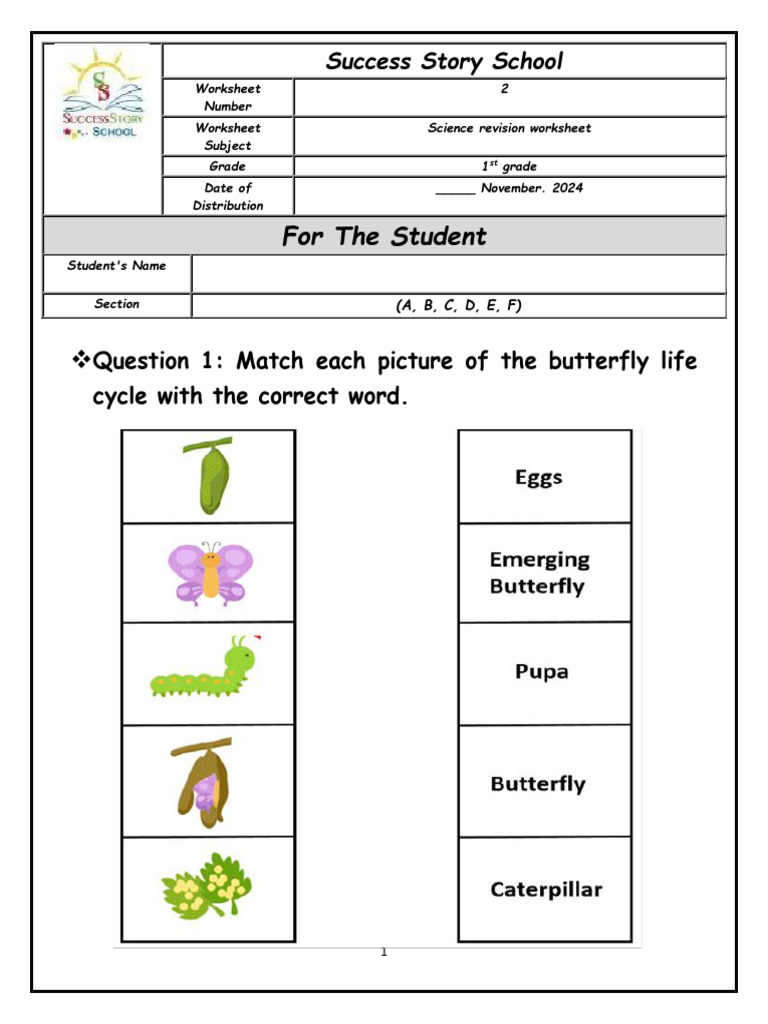 Worksheet 2 G1 SCience (1) | PDF