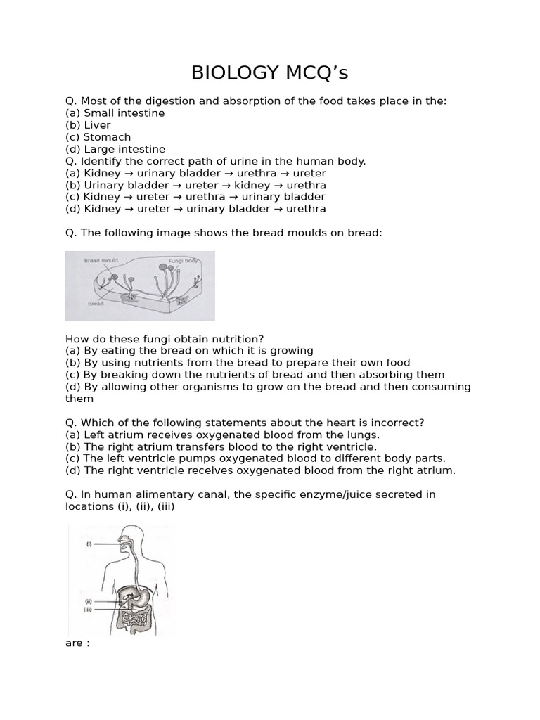 BIOLOGY MCQ | PDF | Digestion | Nerve