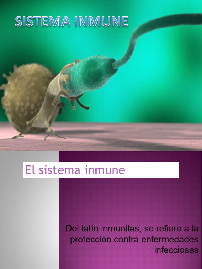 Sistema Inmune | PDF | Sistema inmune | Linfocitos