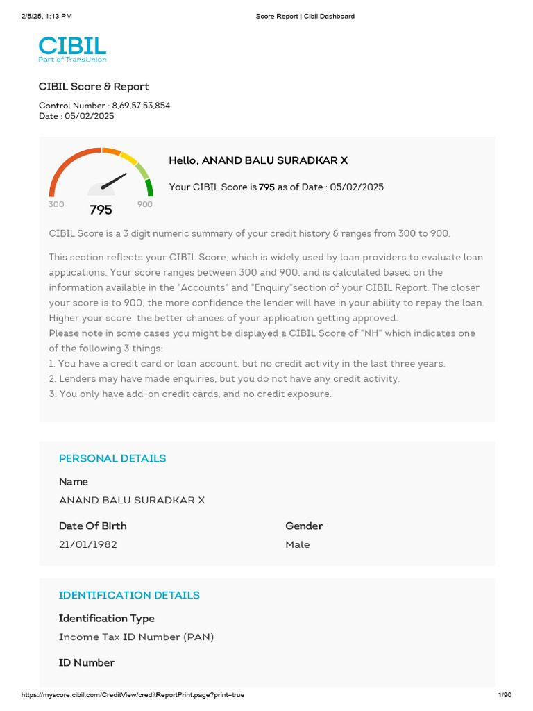 Cibil Report Pdf Credit Finance And Money Management