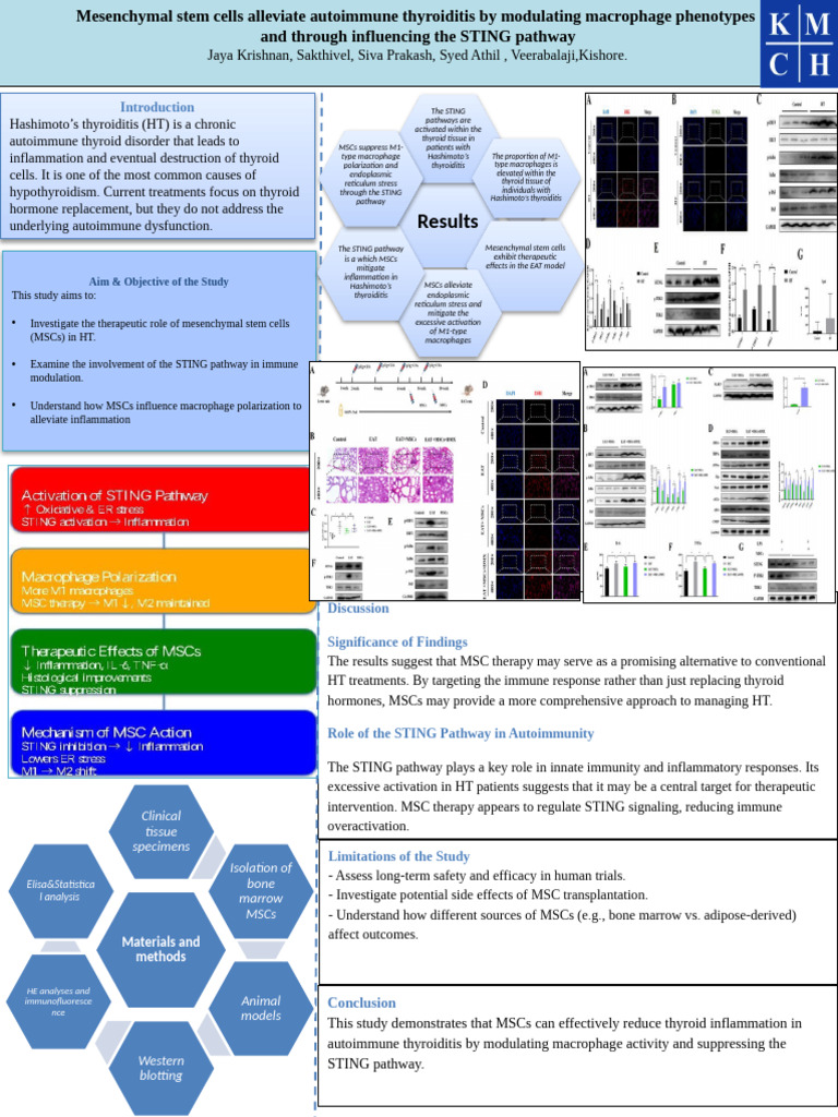 MC Presentation | PDF | Mesenchymal Stem Cell | Autoimmune Disease