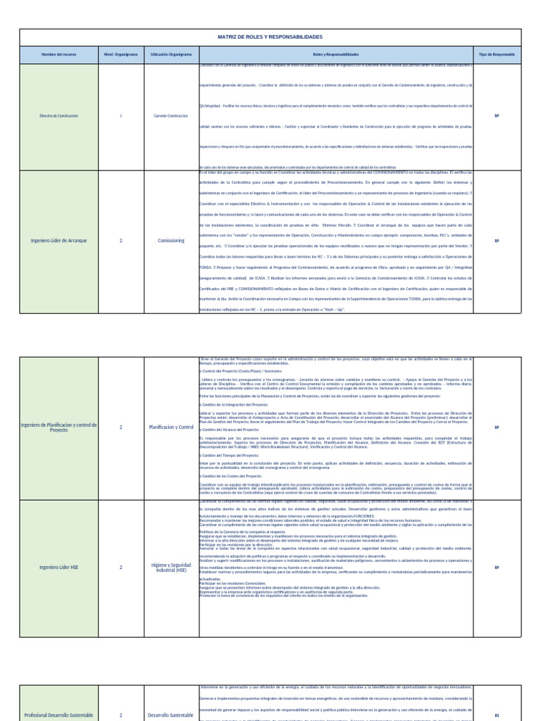 Matriz de Roles y Responsabilidades en Proyectos | PDF | Seguridad y ...