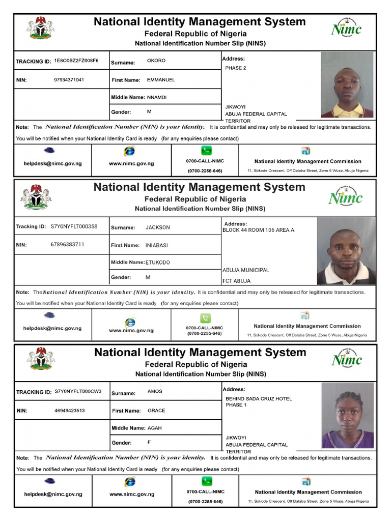 NiN Reprint New Files | PDF