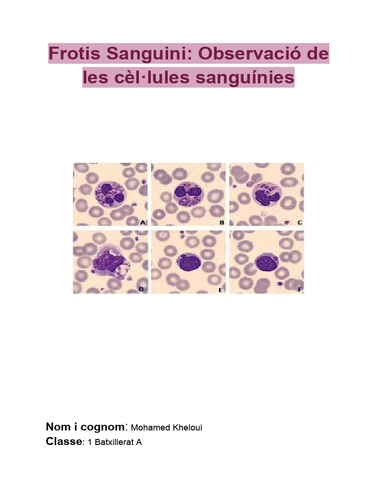Frotis Sanguini - Observació de Les Cèl Lules Sanguínies | PDF