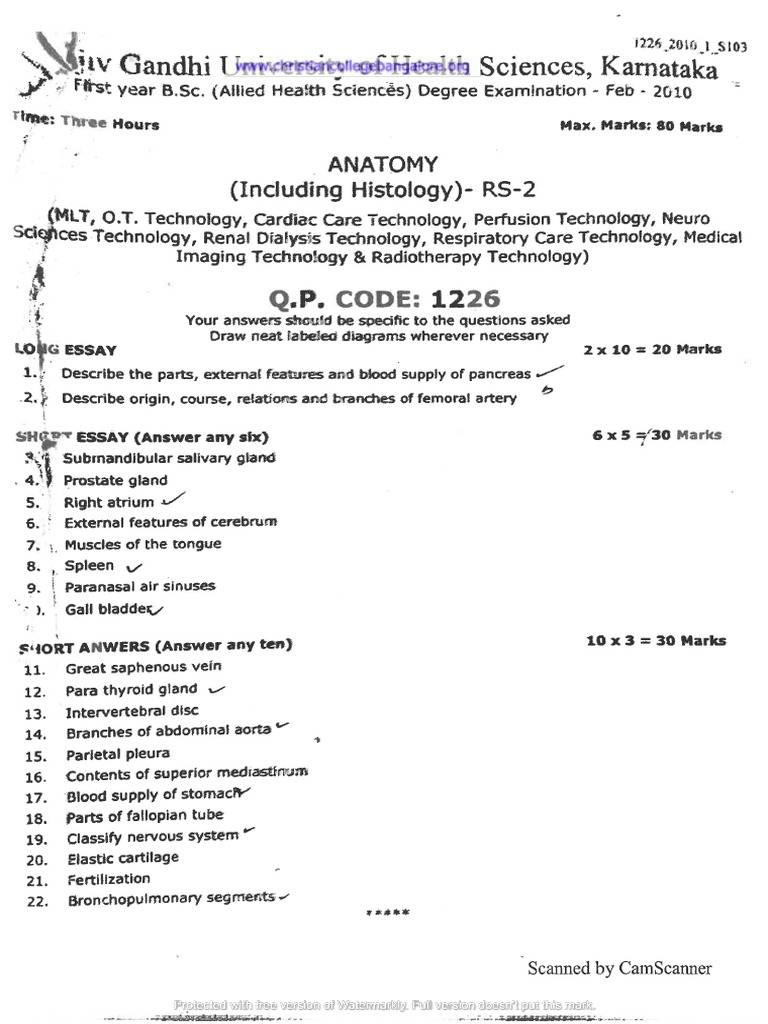Alliedsc 1yrbsc Feb10 Anatomy | PDF