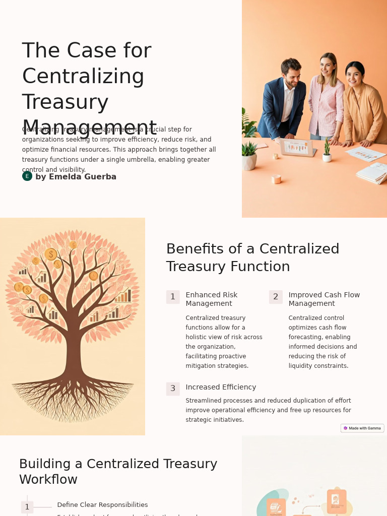 The Case For Centralizing Treasury Management | PDF | Business