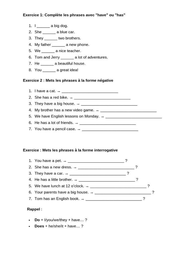 Have and Has Exercises for Practice | PDF