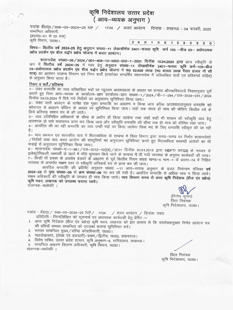 Budget Allotment | PDF