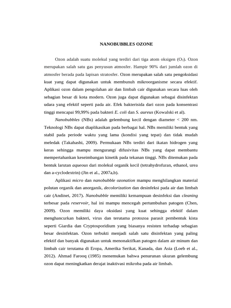 Nanobubbles Ozone | PDF