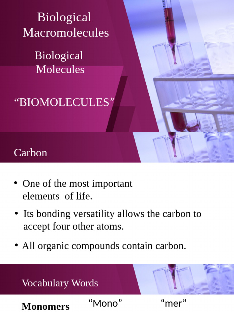 Lesson 3 Carbohydrates and Lipids | PDF | Carbohydrates | Biomolecules