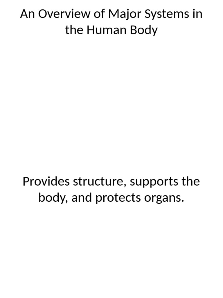 Human Body Systems Presentation | PDF
