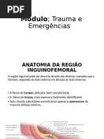 Anatomia da Região Inguinal | PDF | Anatomia