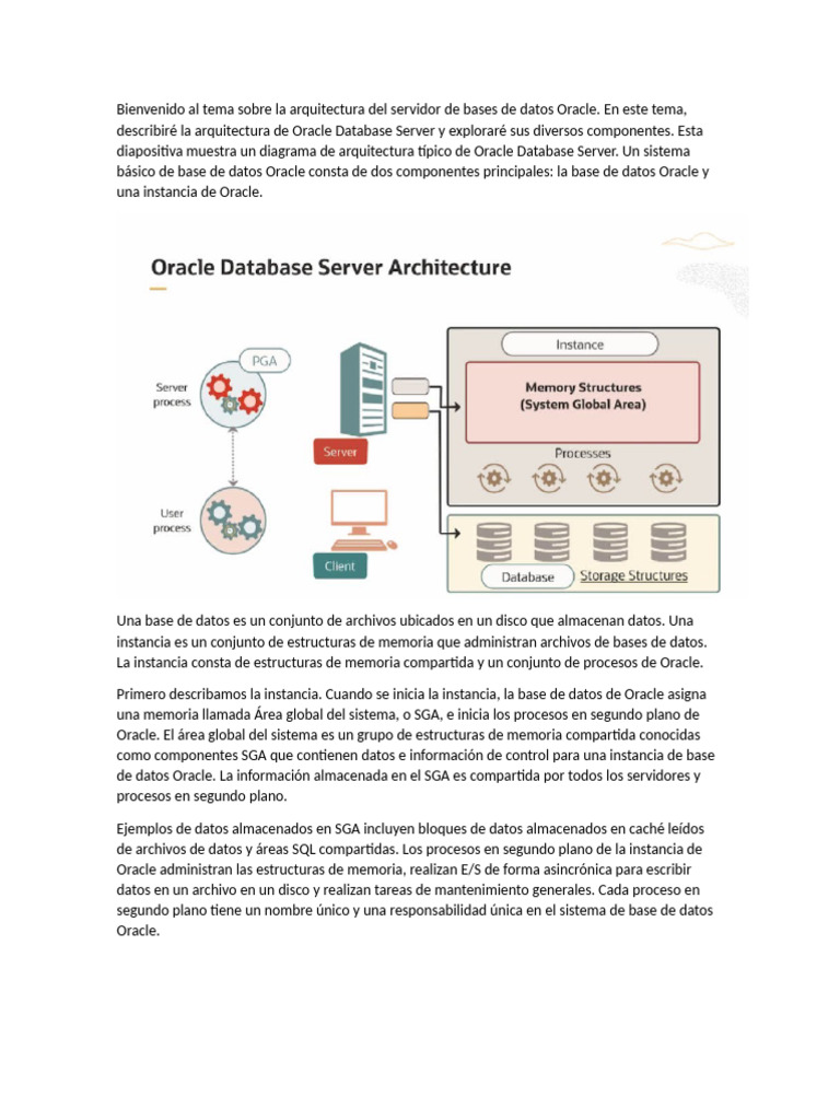 Arquitectura del Servidor Oracle Database | PDF | Bases de datos ...