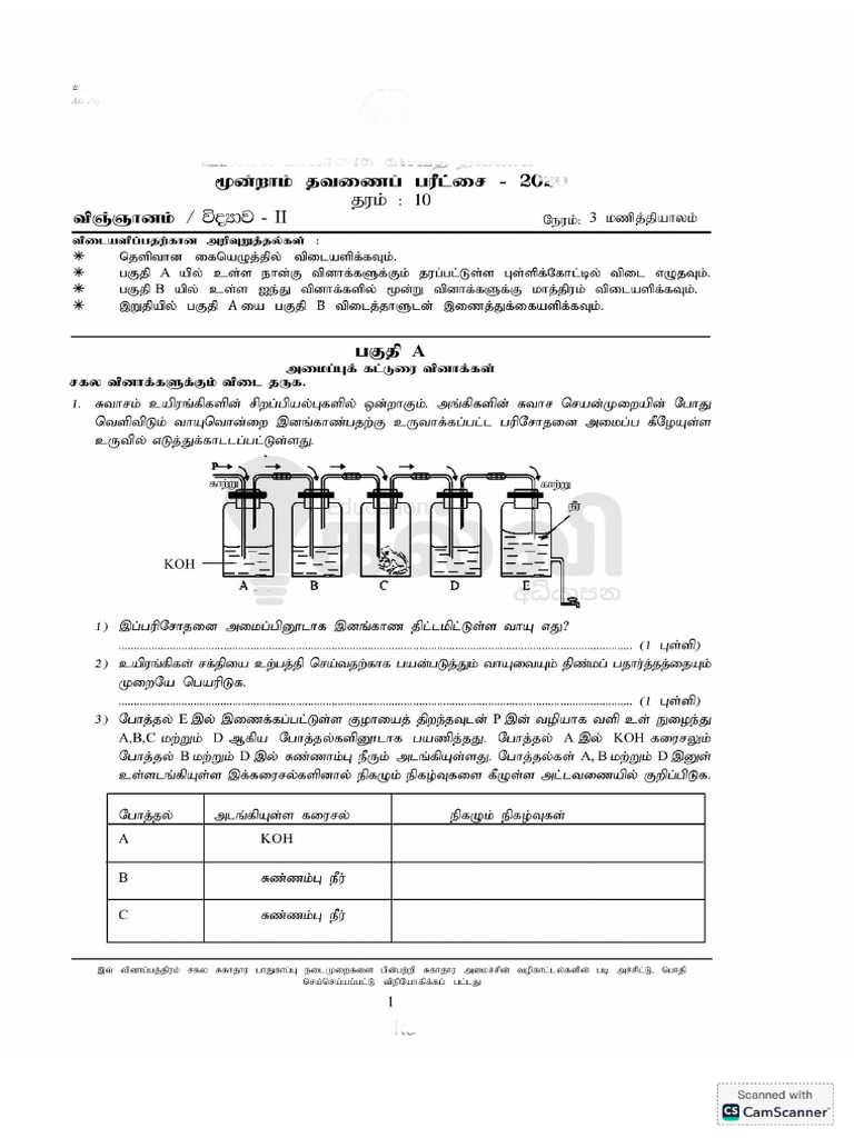 gr10 Ta Science 2020 Term - 3 | PDF