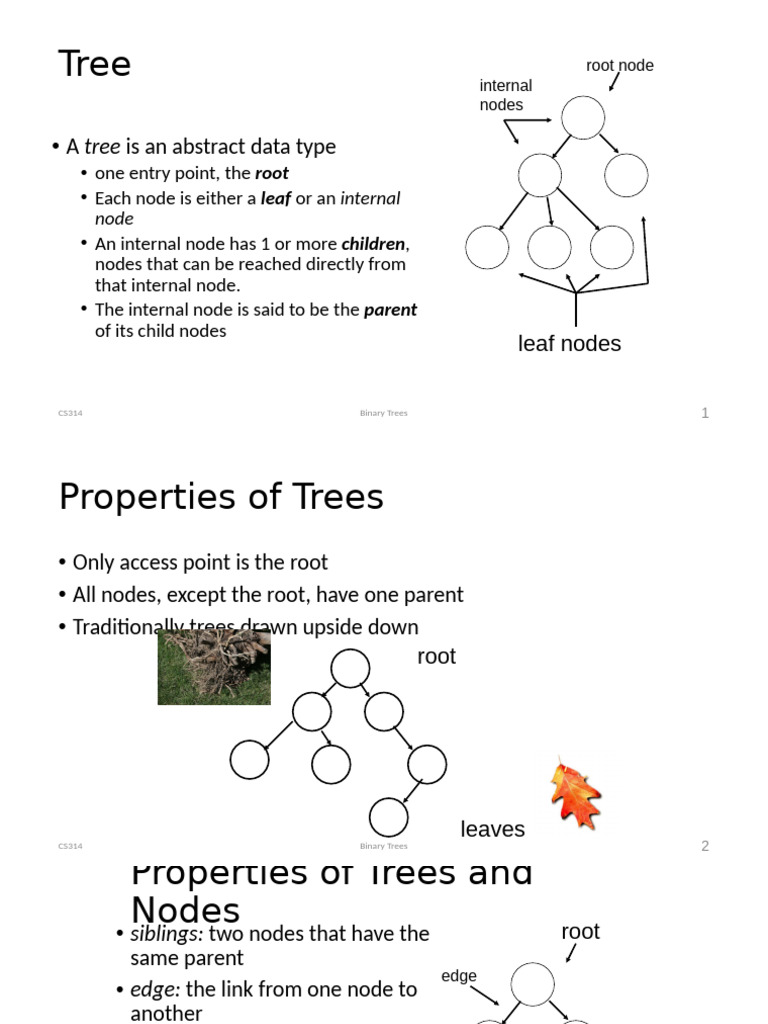 Overview of Binary Trees and Traversals | PDF | Algorithms And Data Structures