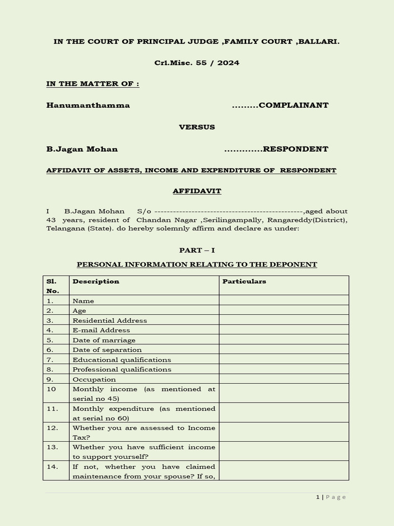 Family Court Assets and Liabilities Affidavit | PDF | Expense | Loans