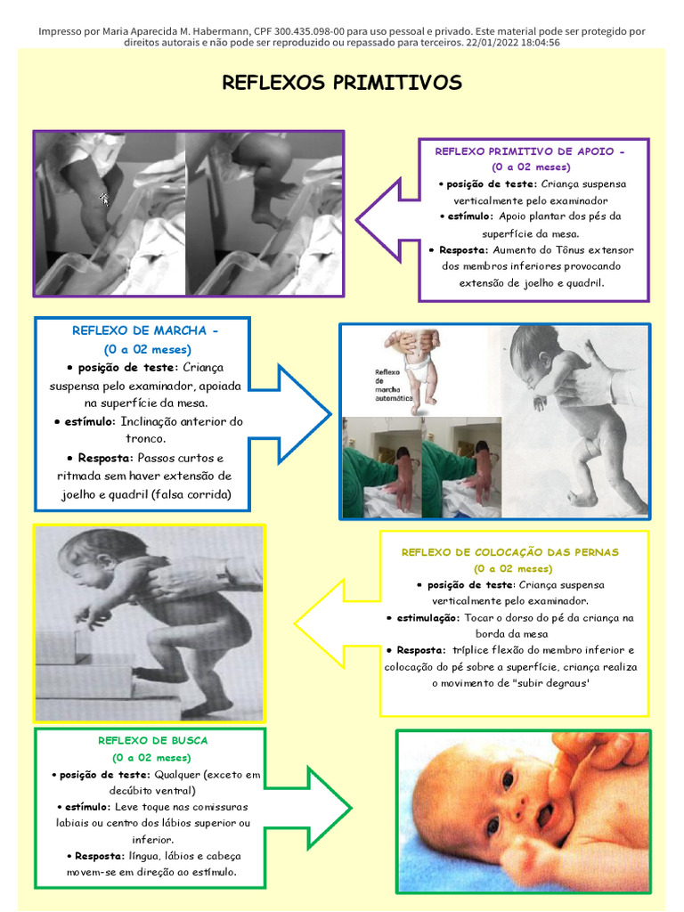 REFLEXOS PRIMITIVOS _ Passei Direto | PDF