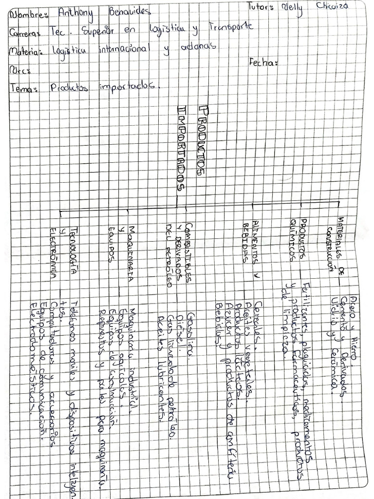 Tarea 5 de Aduanas Anthony | PDF