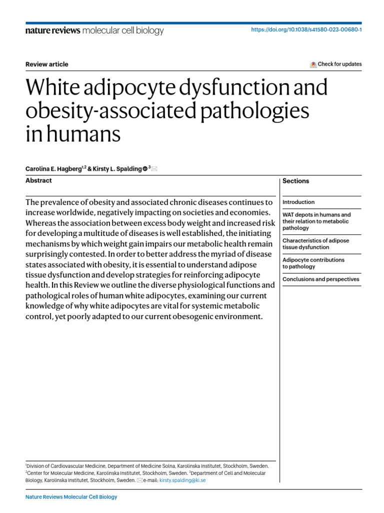 s41580-023-00680-1 | PDF | Adipose Tissue | Adipocyte