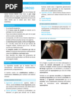 Revisión del intervalo rotador en MRI | PDF | Hombro | Extremidades ...