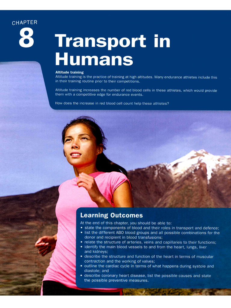 L5. Circulatory system | PDF