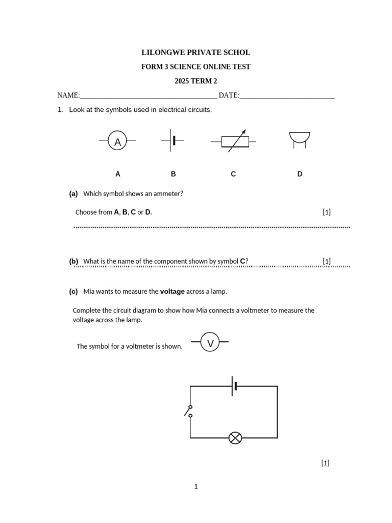 Form 3 Science Online Test 2025 | PDF | Zinc | Acid