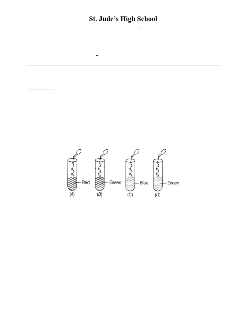 Class 10 Chem Pre-Boards Q-Paper 2024-25 | PDF | Ion | Hydroxide
