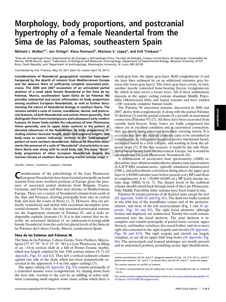 Morphology Body Proportions and Postcran | PDF | Neanderthal | Arm
