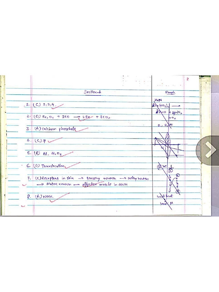 Science Topper Sheet | PDF