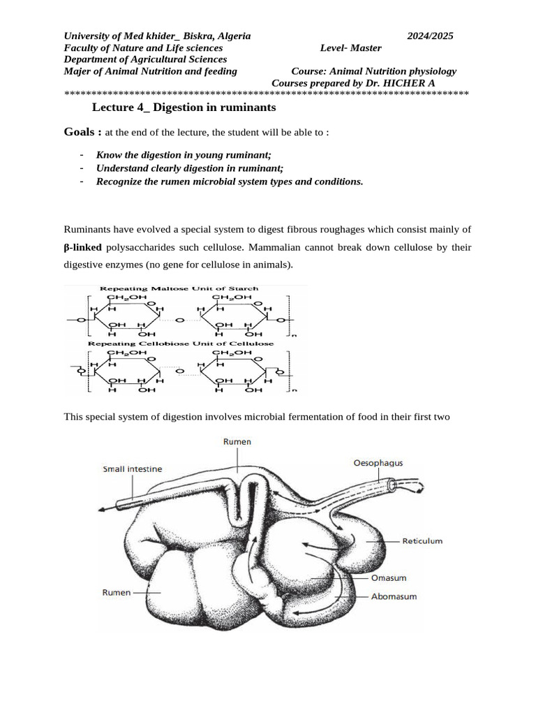 LESSON 3 - Digestion in Ruminant | PDF | Ruminant | Digestion