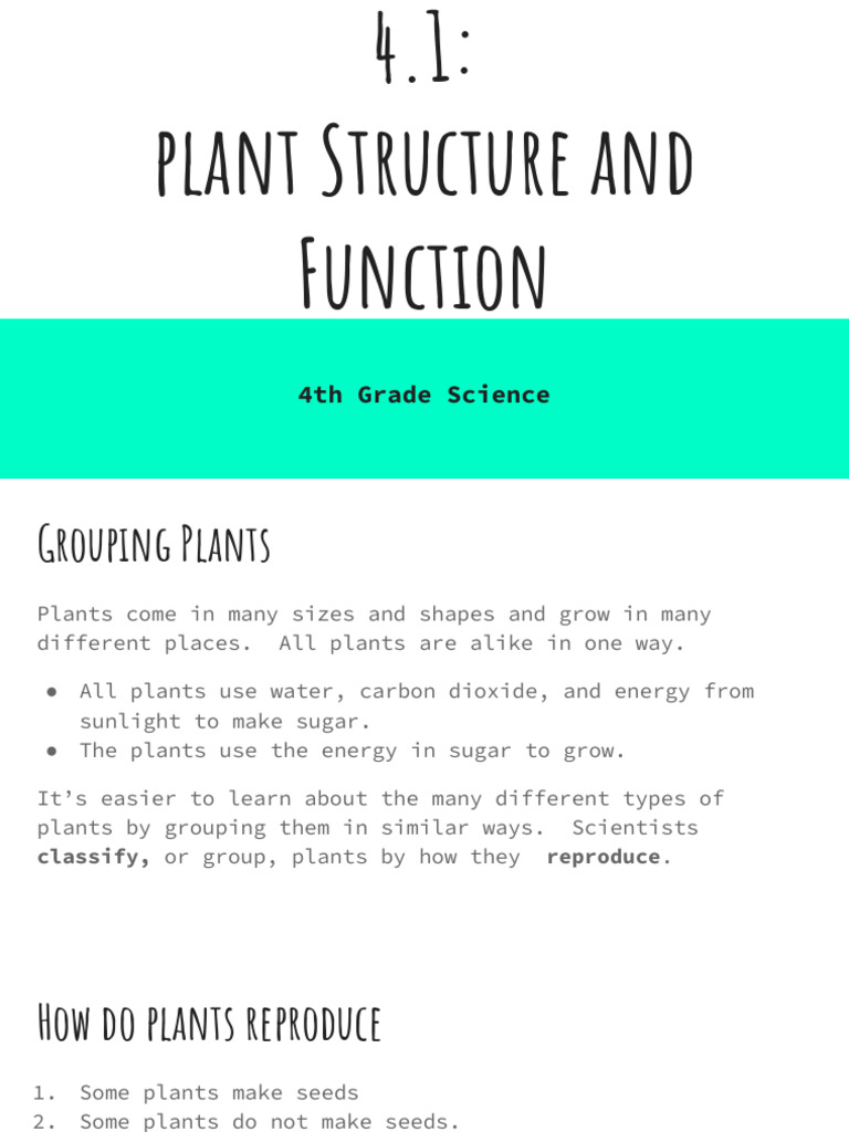 4.1 - Plant Parts and Function | PDF | Flowers | Seed
