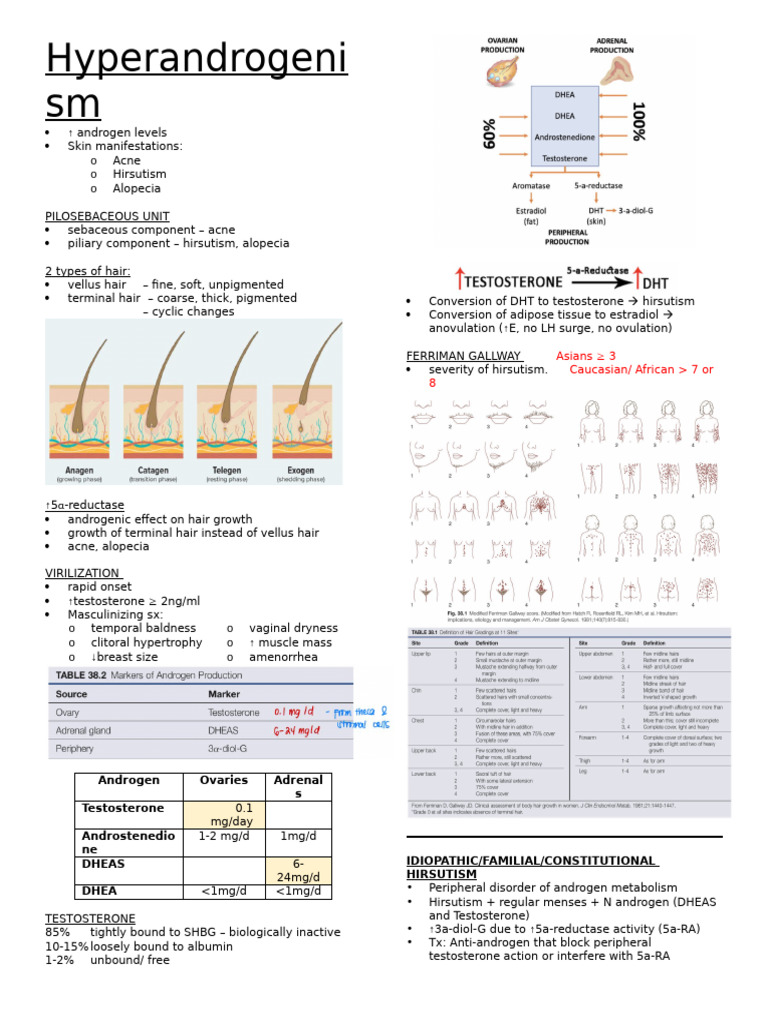 Hyperandrogenism 1 | PDF