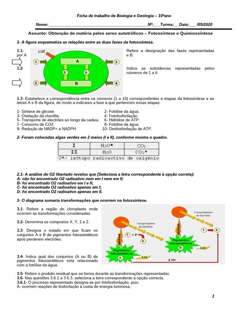 Ficha - Trabalho - Fotossintese - Quimiossíntese | PDF | Trifosfato de ...