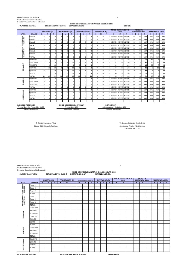 INDICE DE EFICIENCIA INTERNA 2024z | PDF