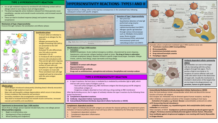 Hypersensitivity Type I and II | PDF | Allergy | Immunology