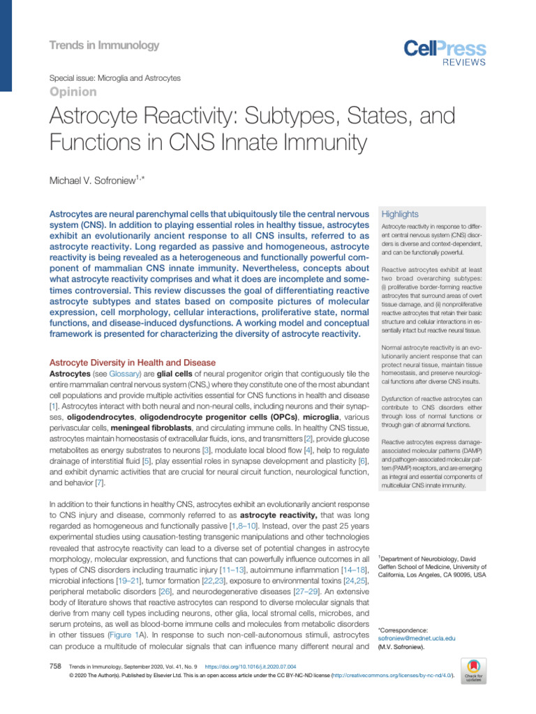 Astrocyte Reactivity Subtypes, States, and Function | PDF | Astrocyte ...