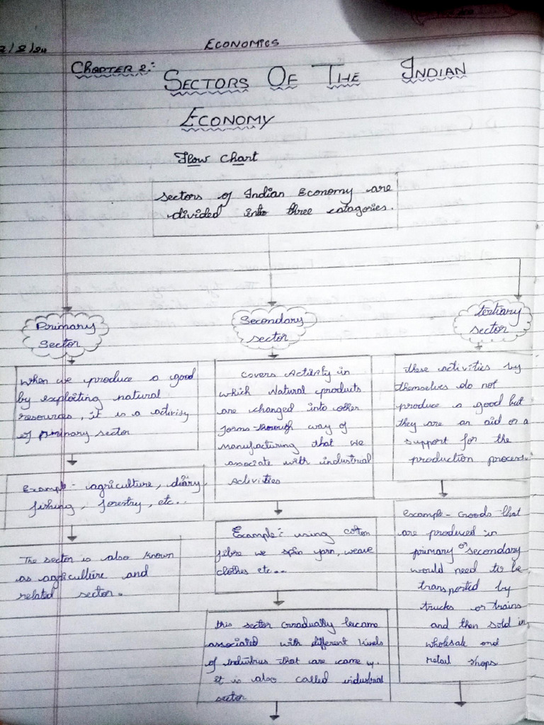 SST CW Sectors of Indian Economy | PDF