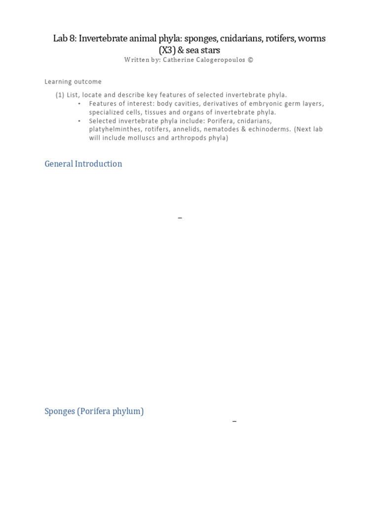 Lab 8 Diversity of invertebrate phyla Part I 2244 | PDF | Invertebrate ...