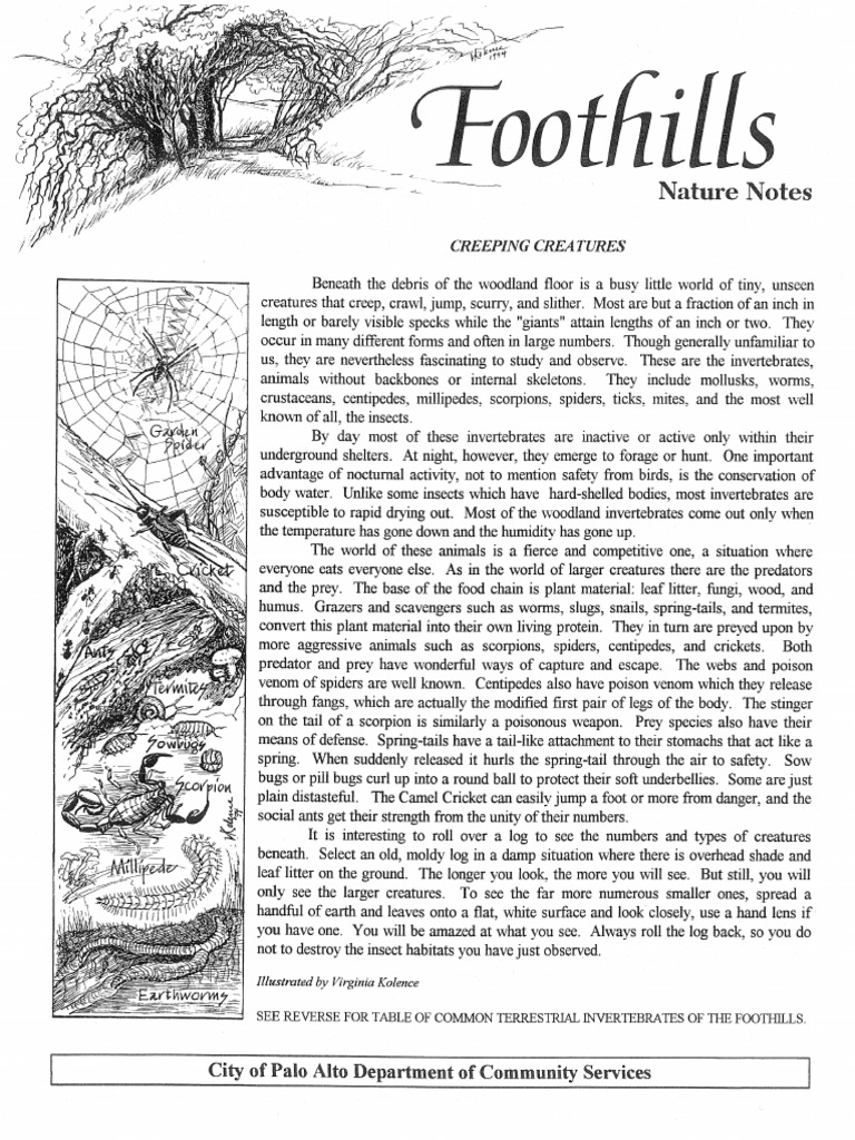Nat Creeping Creatures | PDF