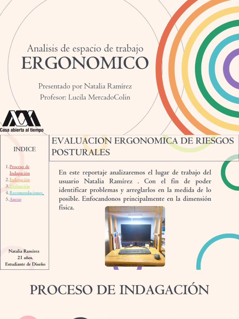 Ergonomia Trabajo Final | PDF
