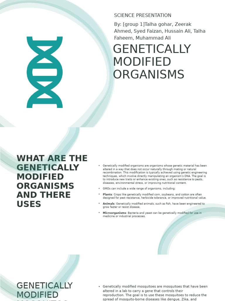 Understanding Genetically Modified Organisms | PDF