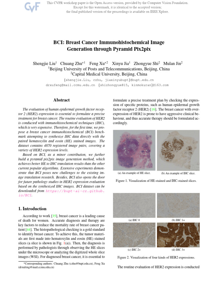 Breast Cancer IHC Image Generation | PDF | Immunohistochemistry ...