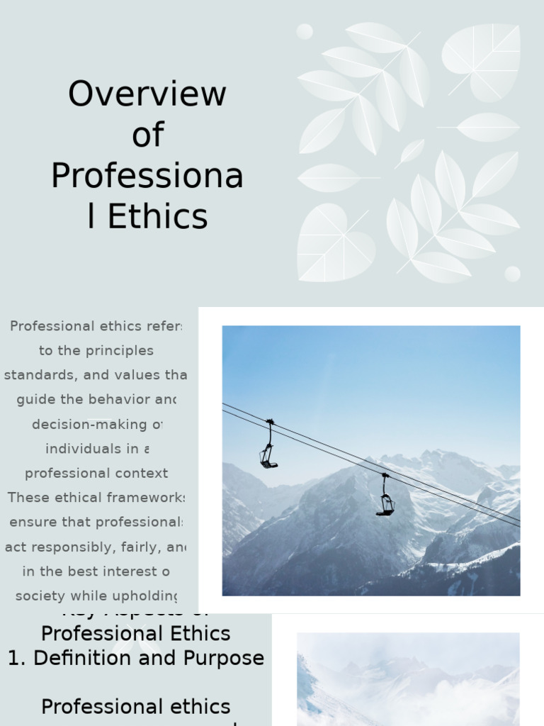 Professional Ethics | PDF