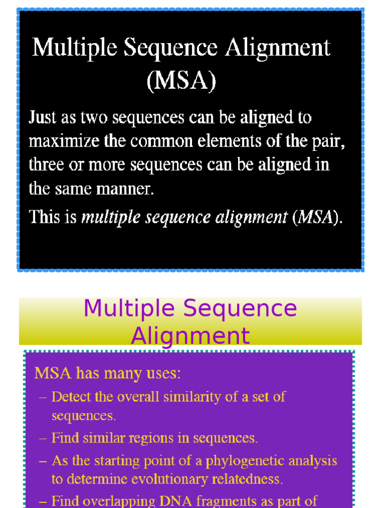 MSA | PDF