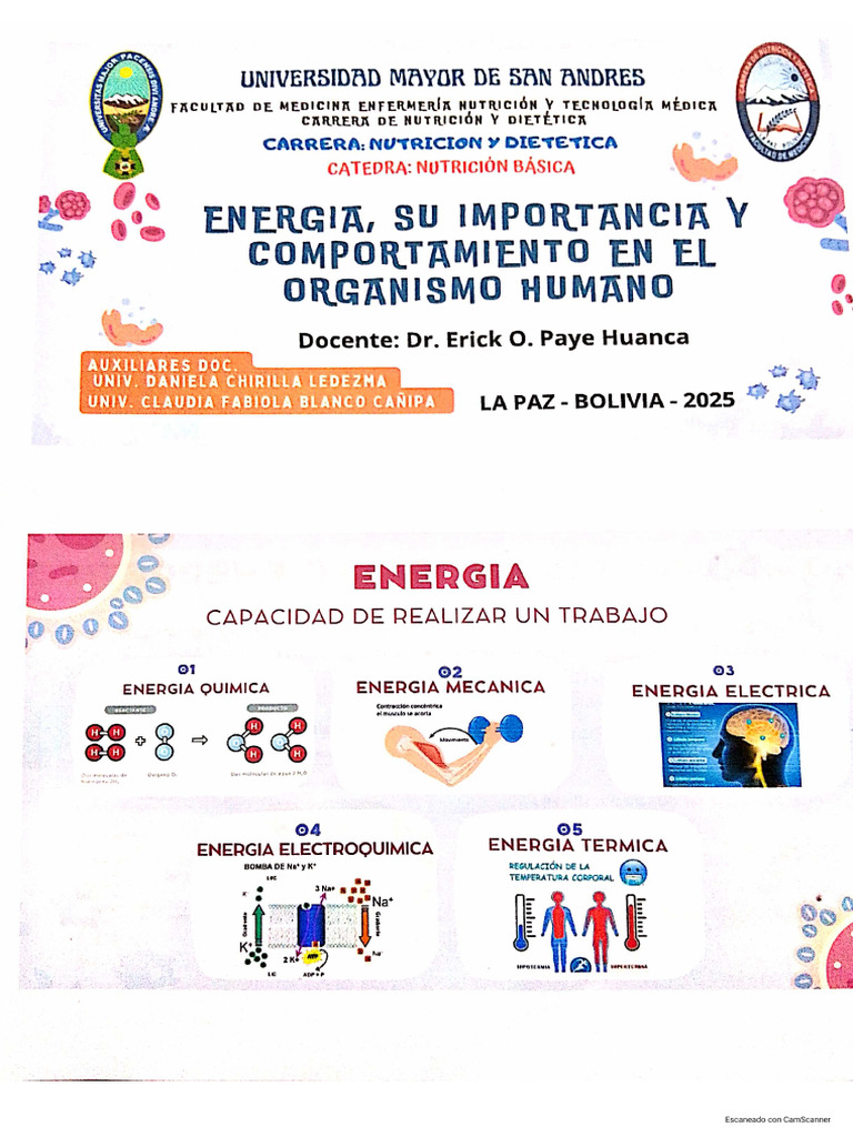 Tema-Energía-Nutri Básica | PDF