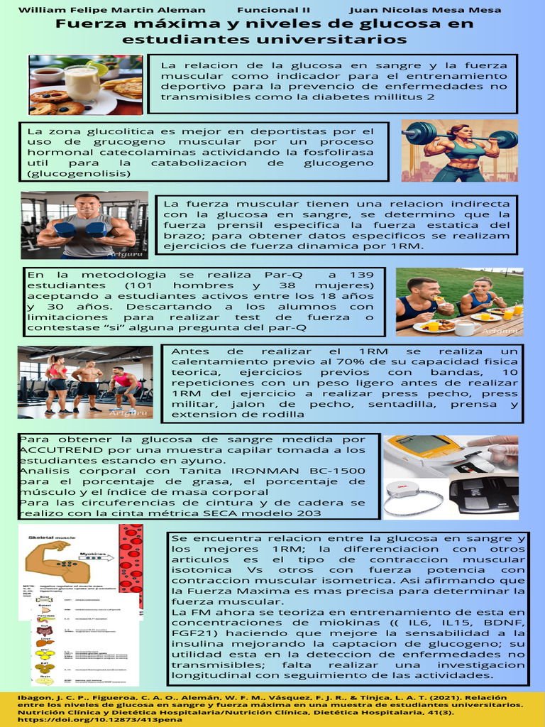 1 Funcional 2 | PDF | Glucógeno