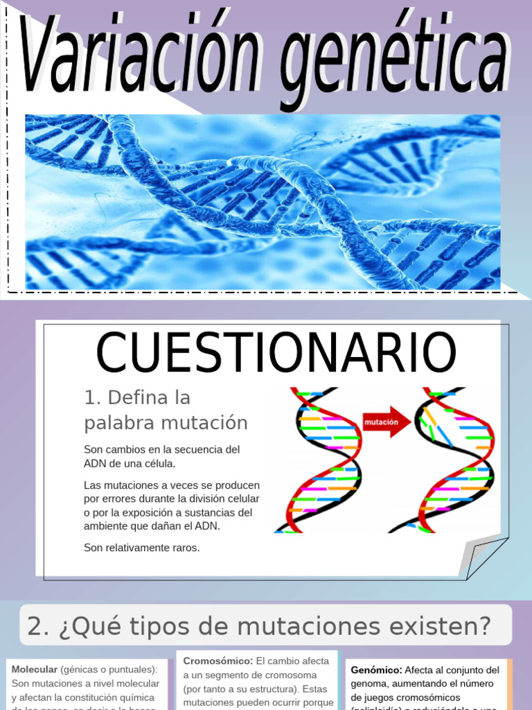 Variaciones Geneticas | PDF | Mutación | Adn