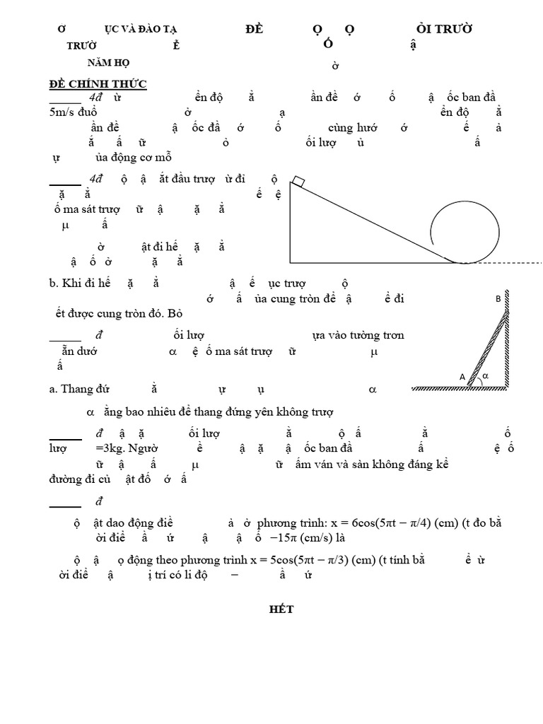23-24 Đề Hsg 11 Cấp Trường | PDF