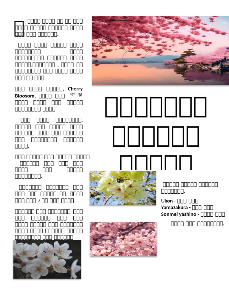 Sakura Mag 2 | PDF